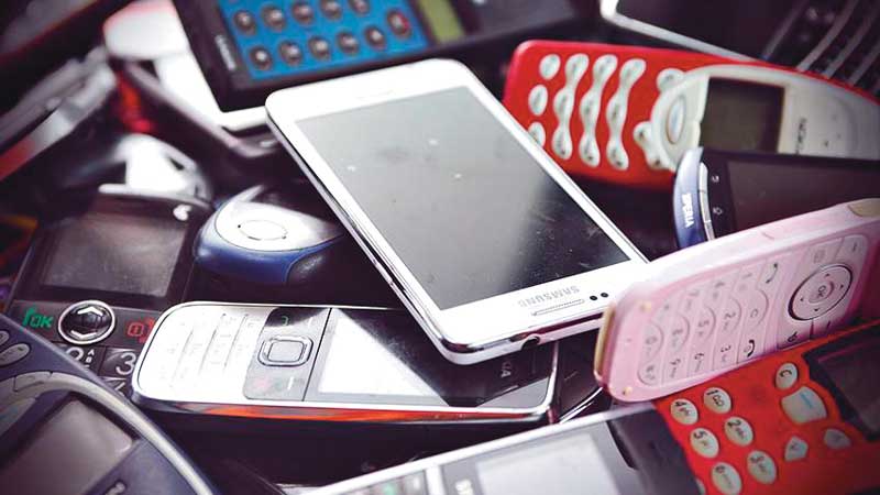 Hand over old phones to save rare birds - The Shepparton Adviser