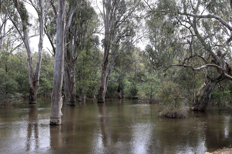 Hiddenhazardson open water - The Shepparton Adviser