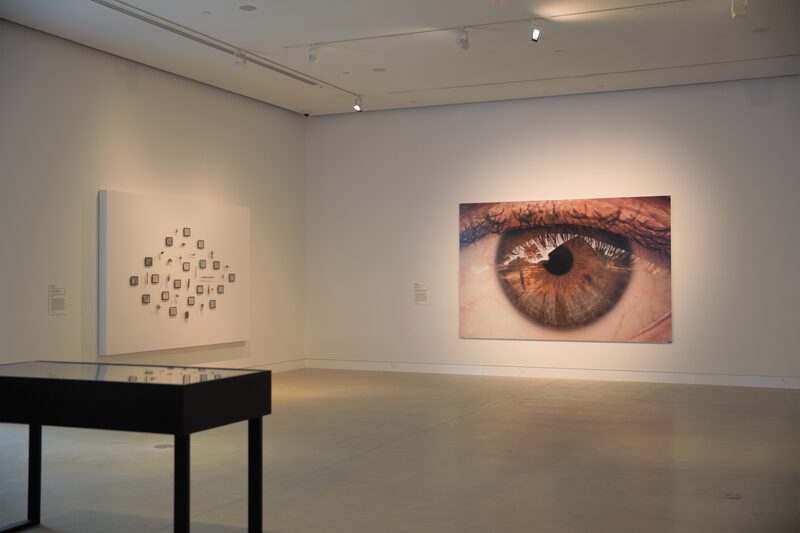 New SAM exhibition explores the nexus of Country, culture and community ...