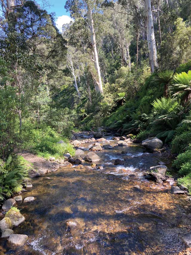 FREE CAMPING - The Shepparton Adviser