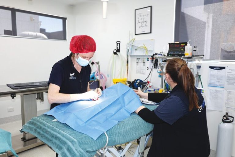 Our GV - GV Vets - The Shepparton Adviser
