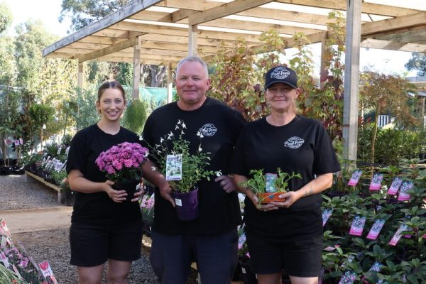 Massive plant nursery opens - The Shepparton Adviser