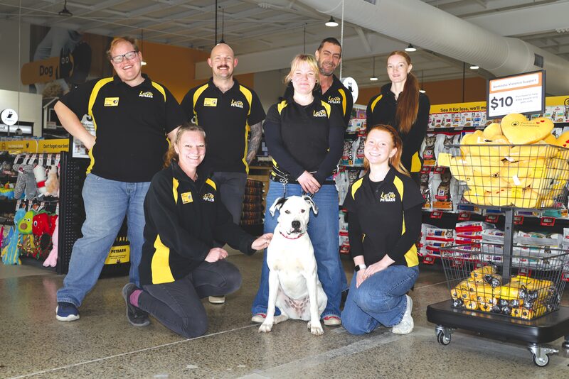 Meet your pet's new best friends! - The Shepparton Adviser
