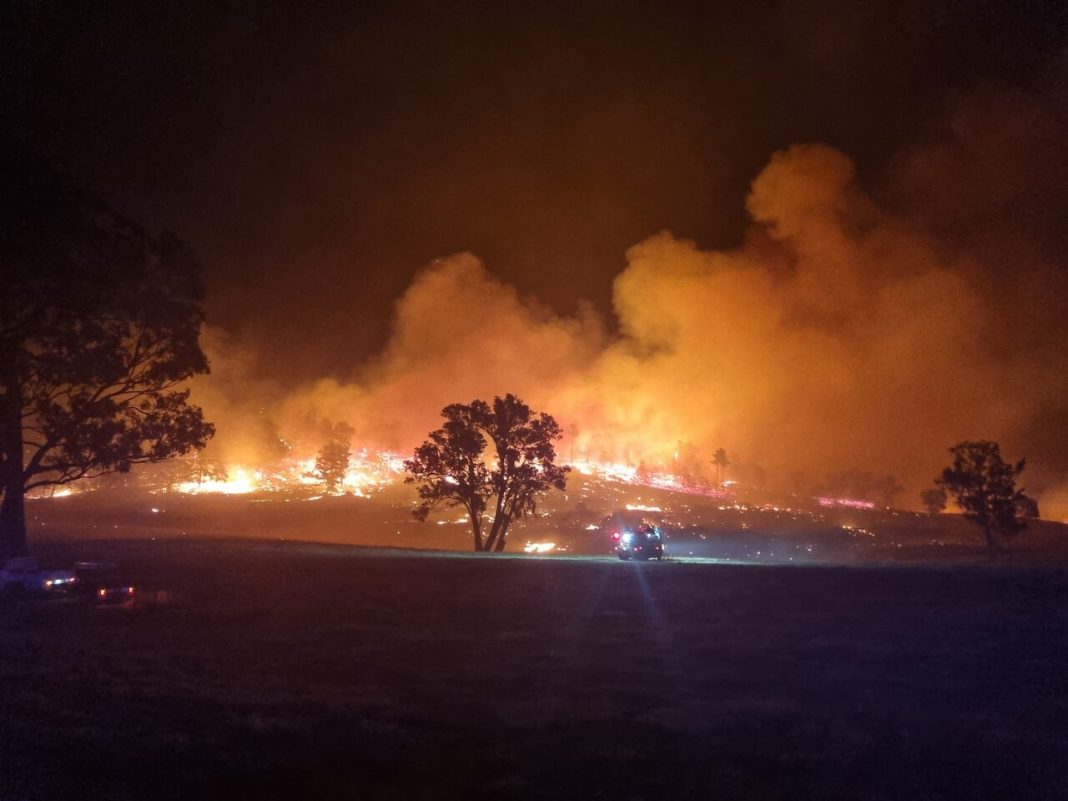 Longwood Rallies For Tones and I - The Shepparton Adviser